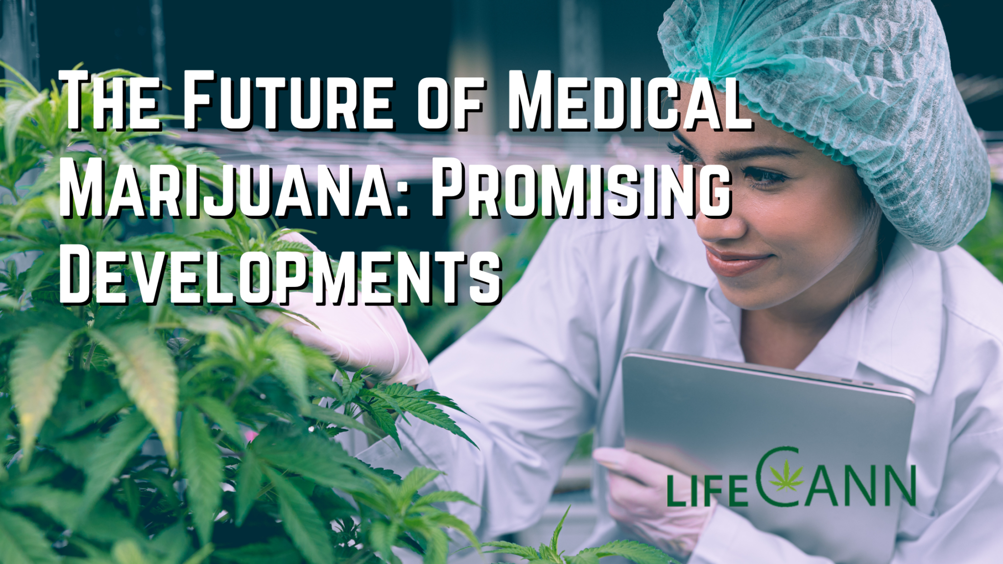 The Future of Medical Marijuana